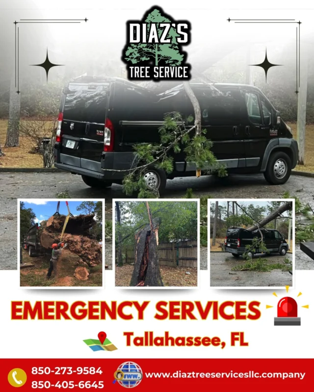 Diaz Tree Service